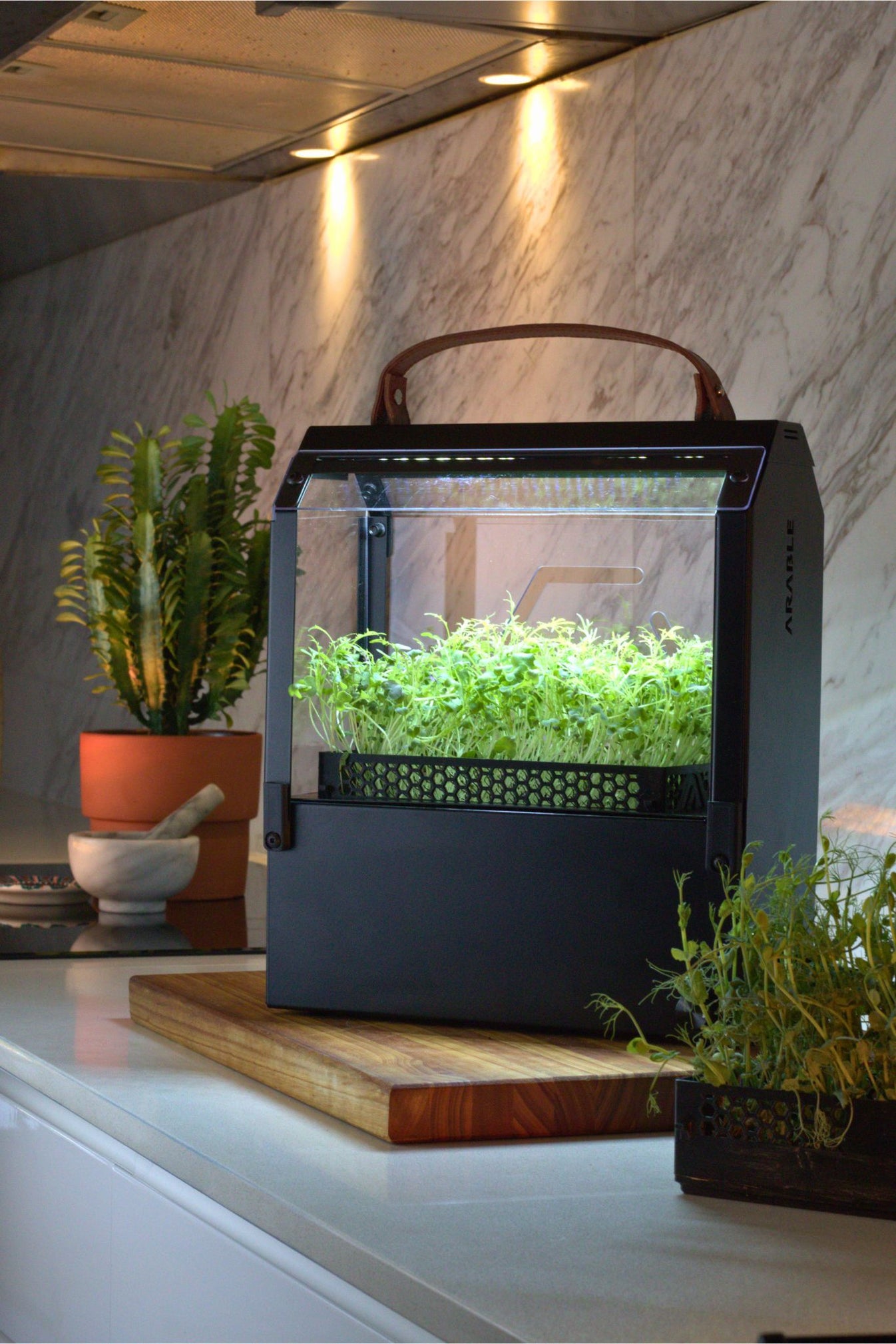 Sprout – Arable Grow