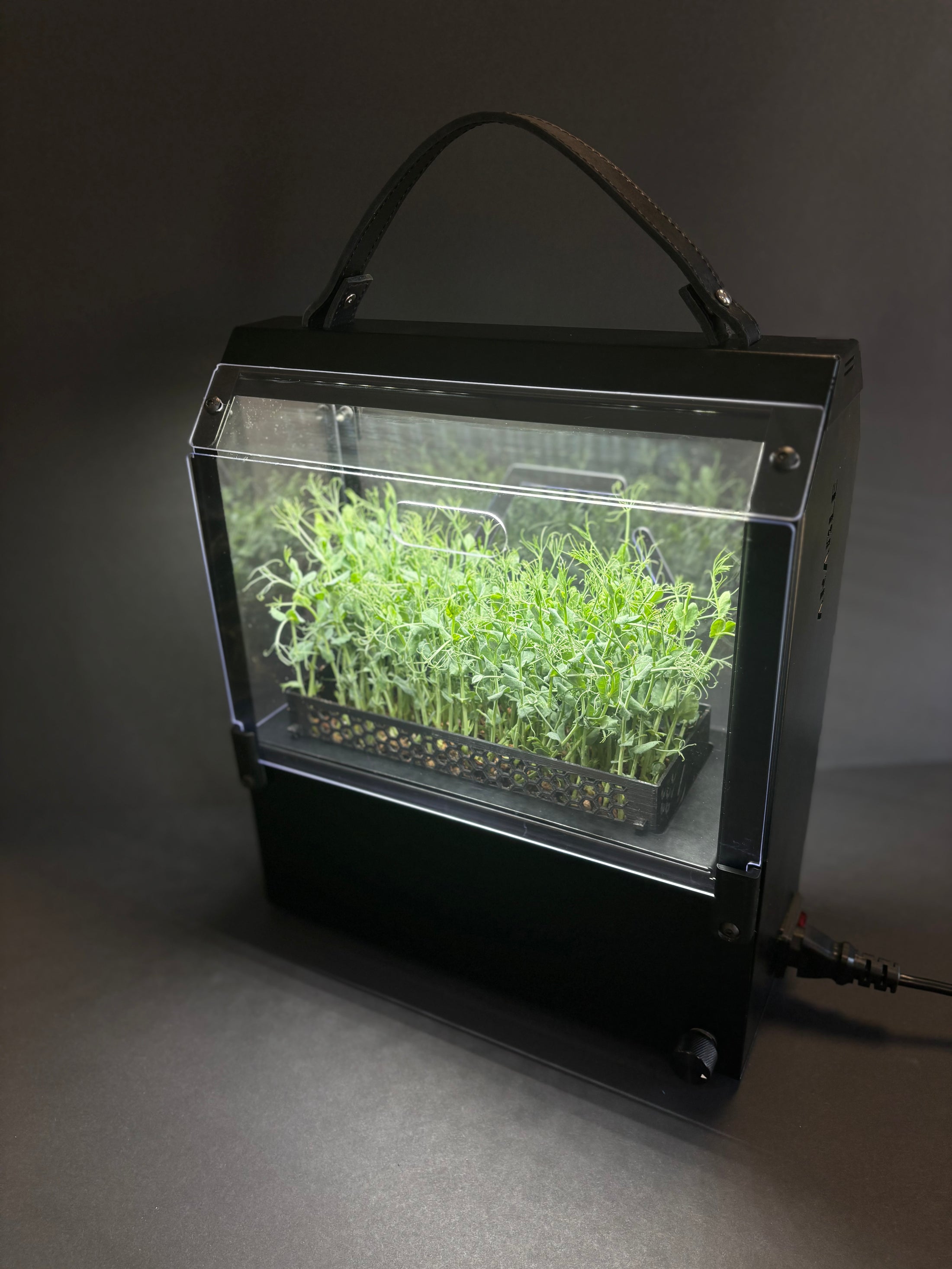 Sprout – Arable Grow