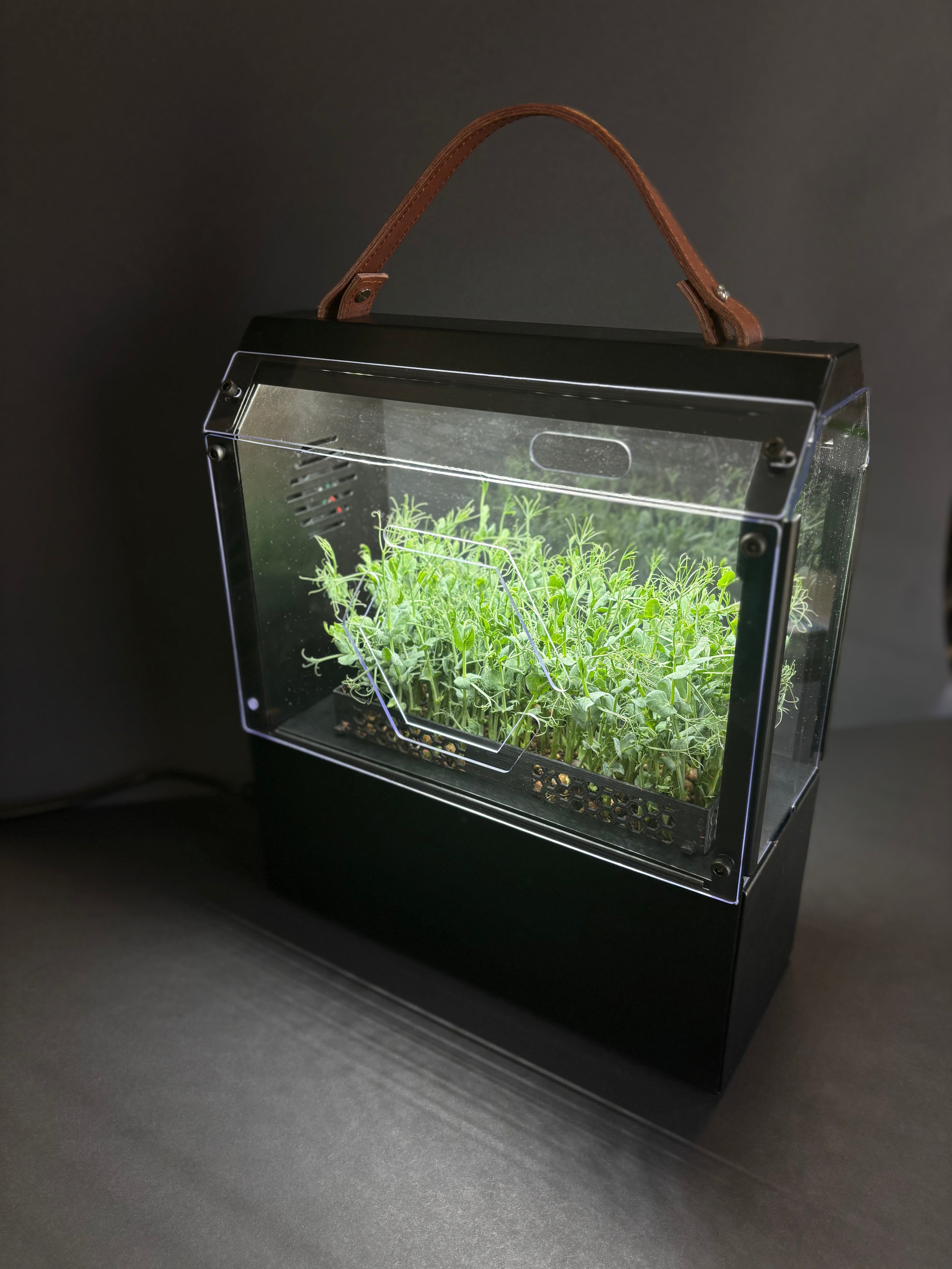 Sprout – Arable Grow